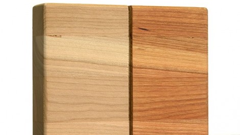 Specii tari de lemn - Revista din lemn