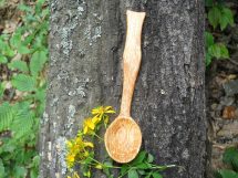 Arinul, un lemn frumos cu foarte multe utilizări - Revista din lemn