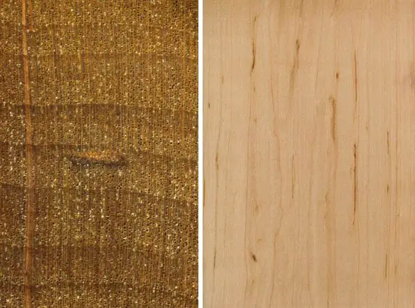 Arinul, un lemn frumos cu foarte multe utilizări - Revista din lemn