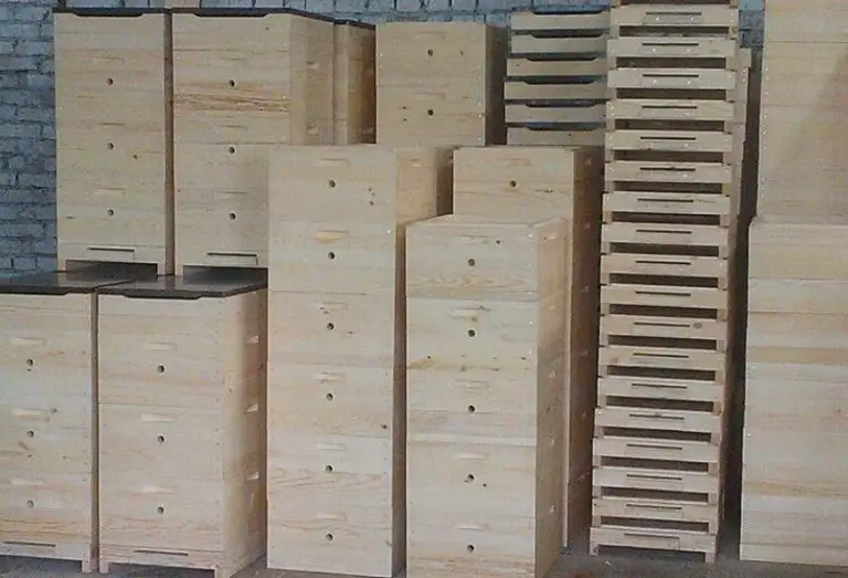 Stupi din panouri de masiv. Alegerea adezivului - Revista din lemn